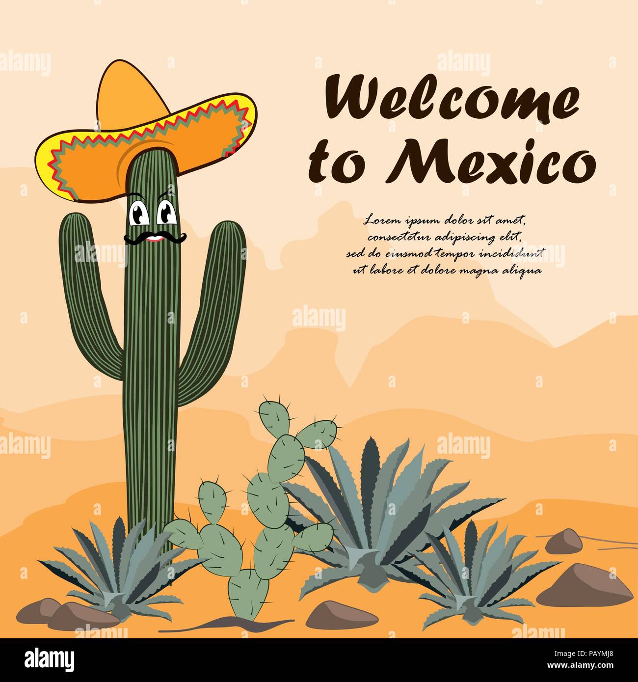 Mexico desert landscape cactus hi-res stock photography and images - Alamy