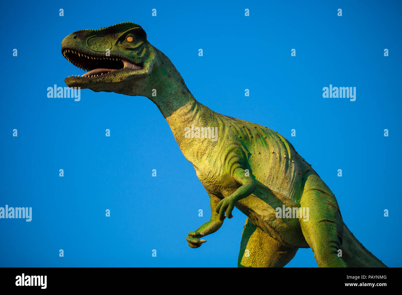 Velociraptor blue hi-res stock photography and images - Alamy