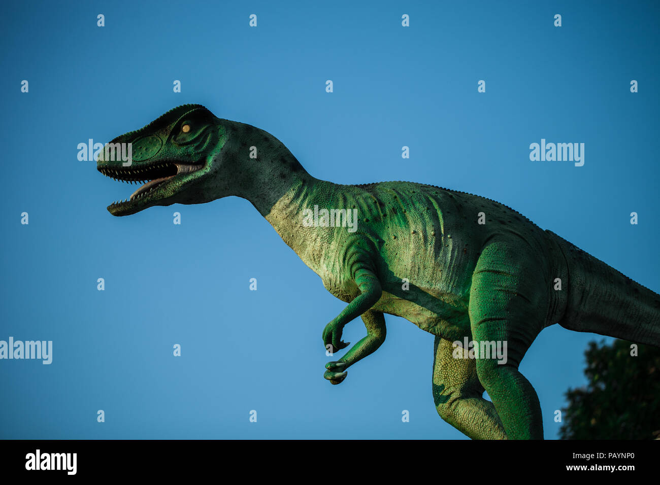 Model of Velociraptor roaring against blue sky Stock Photo - Alamy