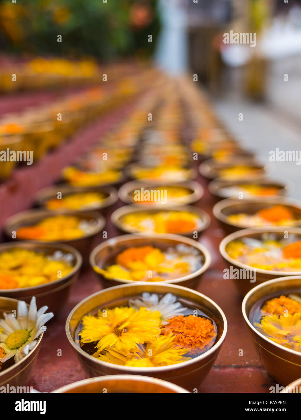 Thai temple flower petals hi-res stock photography and images - Alamy