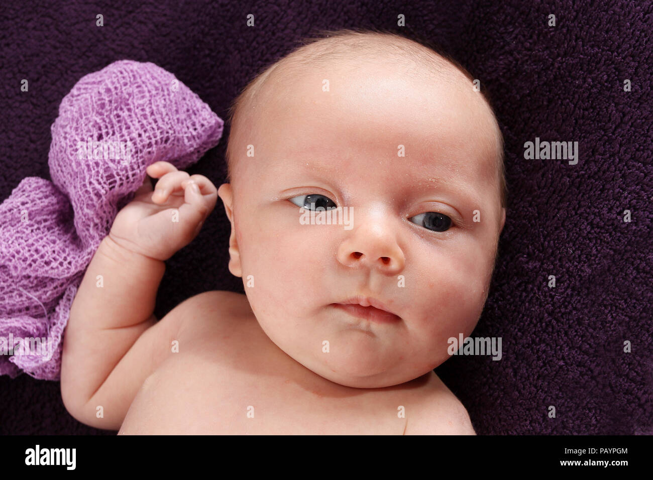 4 week old baby girl Stock Photo - Alamy