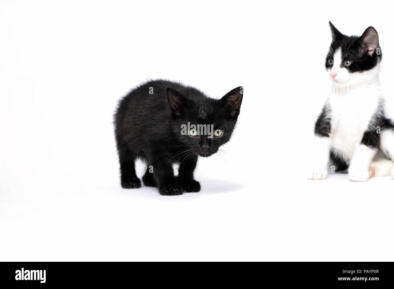 Empty expression hi-res stock photography and images - Alamy