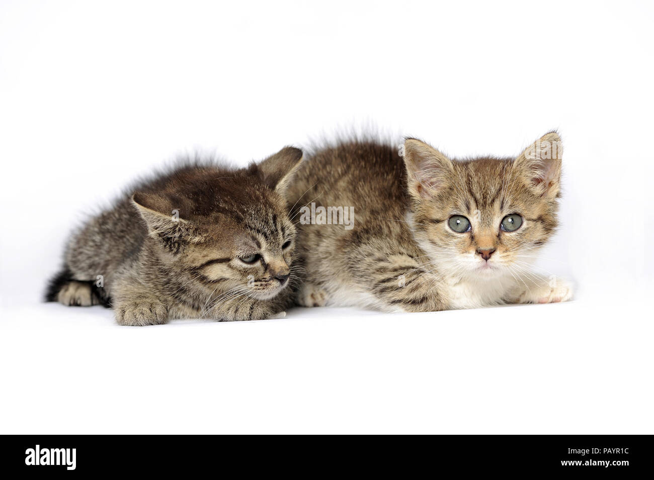 Empty expression hi-res stock photography and images - Alamy