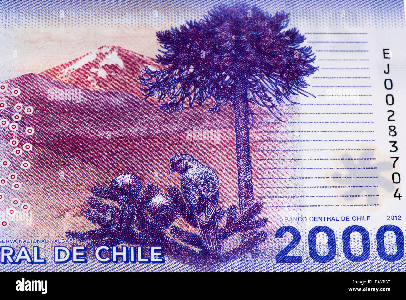 Chile peso currency note sign hi-res stock photography and images - Alamy