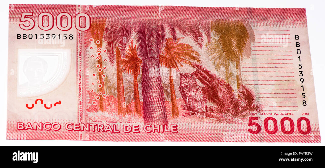Chile peso currency note sign hi-res stock photography and images - Alamy