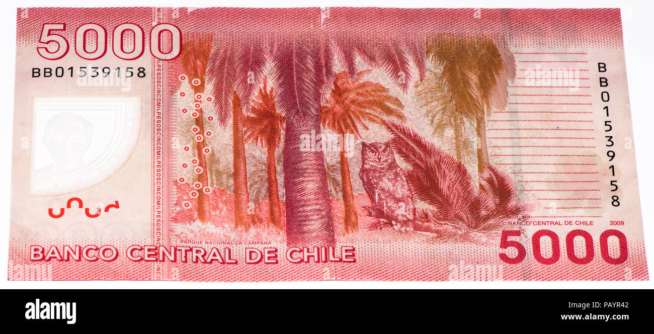 Chile peso currency note sign hi-res stock photography and images - Alamy