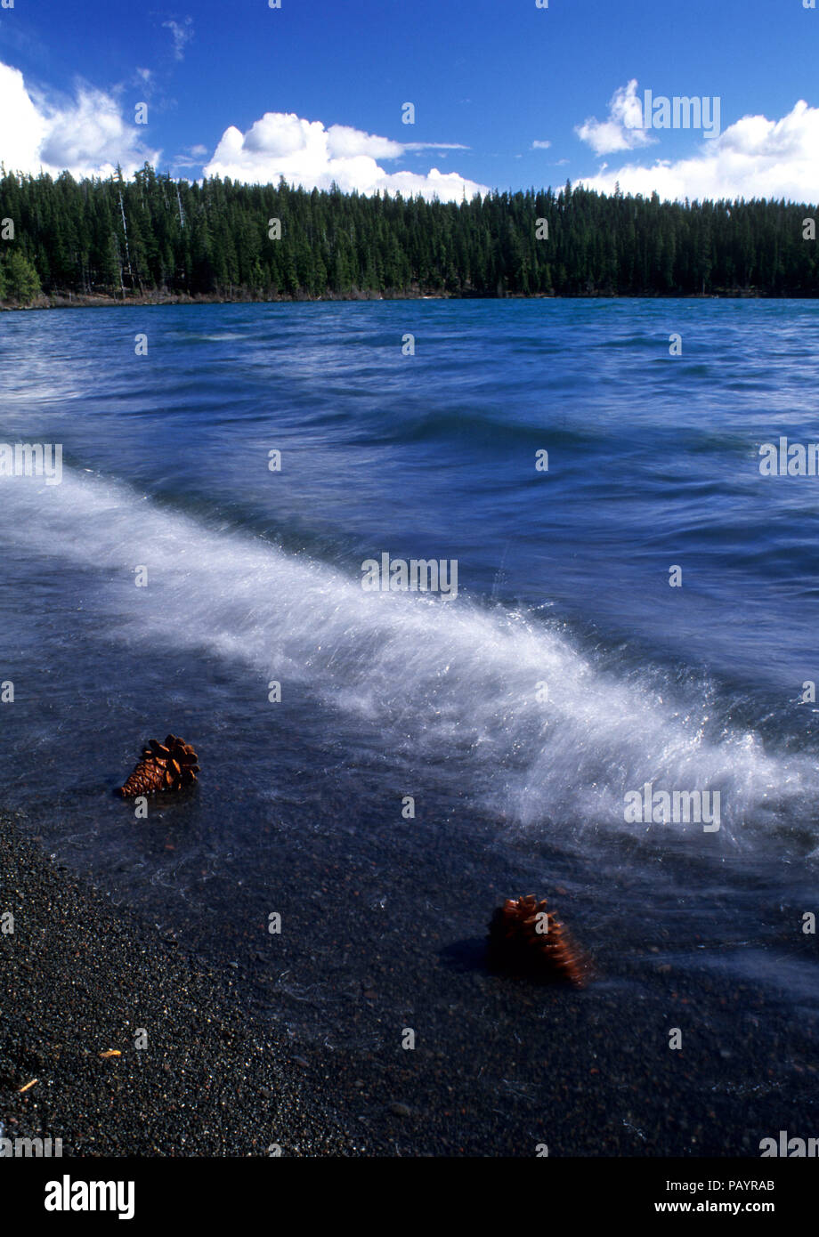 Suttle Lake surf at Cinder Beach, Deschutes National Forest, Oregon ...