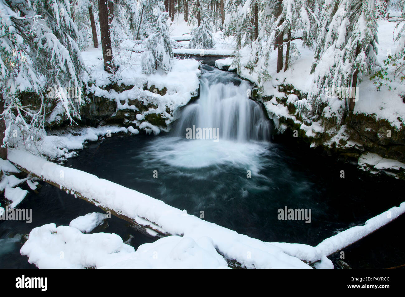 Whitehorse Falls, Rogue-Umpqua National Scenic Byway, Umpqua National ...
