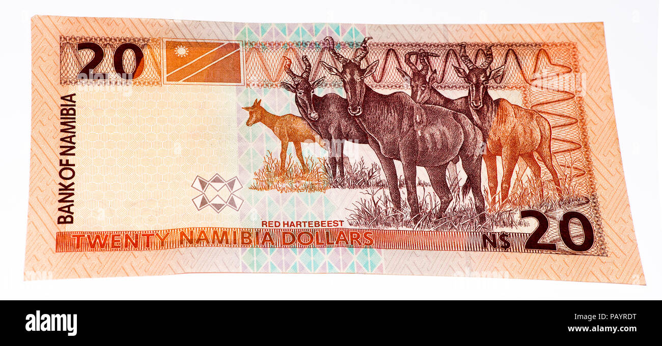 20 Namibian dollars bank note of Namibia. Namibian dollars is the ...