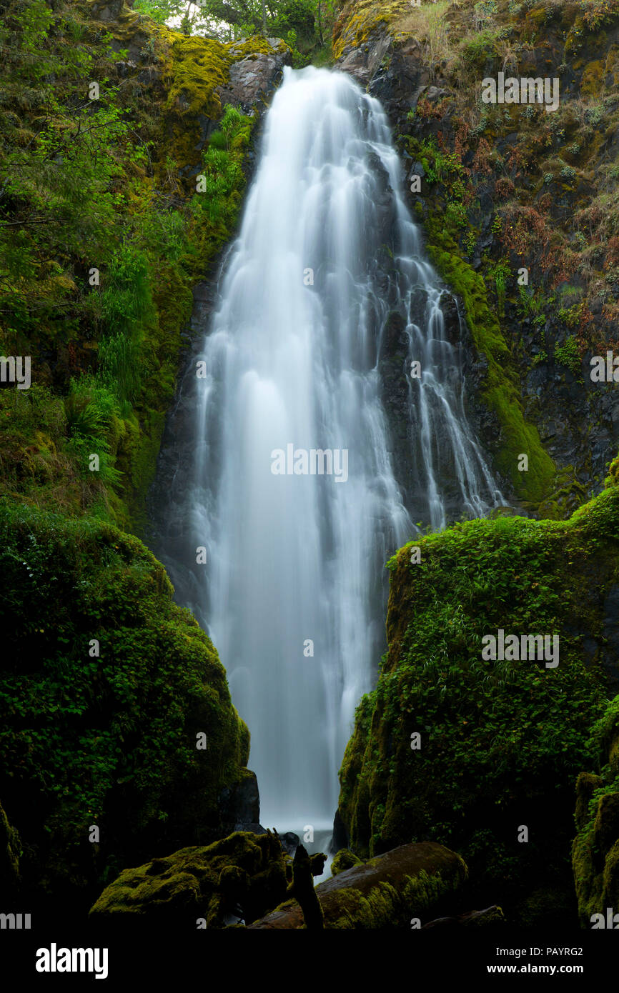 Susan Creek Falls High Resolution Stock Photography and Images - Alamy