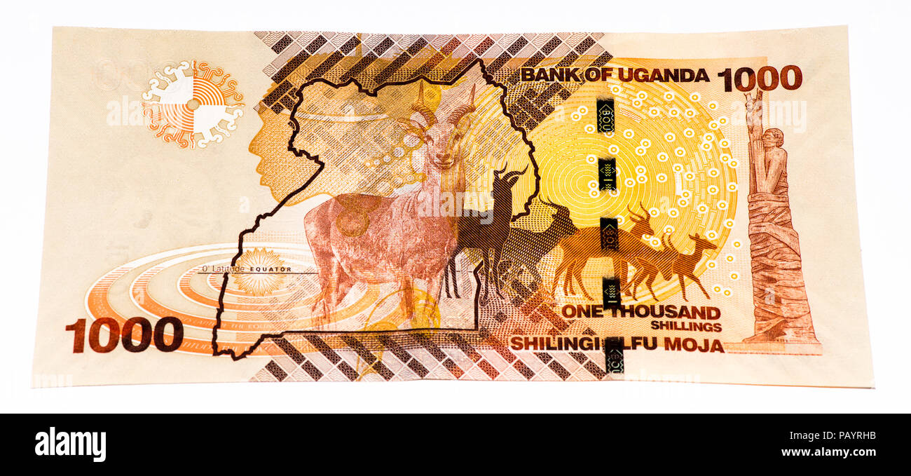 1000 Ugandan shillings bank note. Ugandan shilling is the national ...