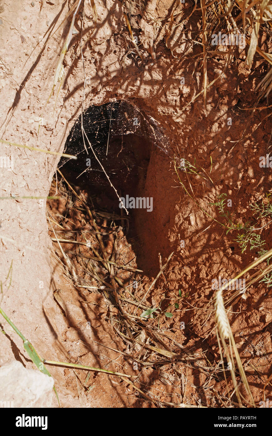 Foxhole cave hi-res stock photography and images - Alamy