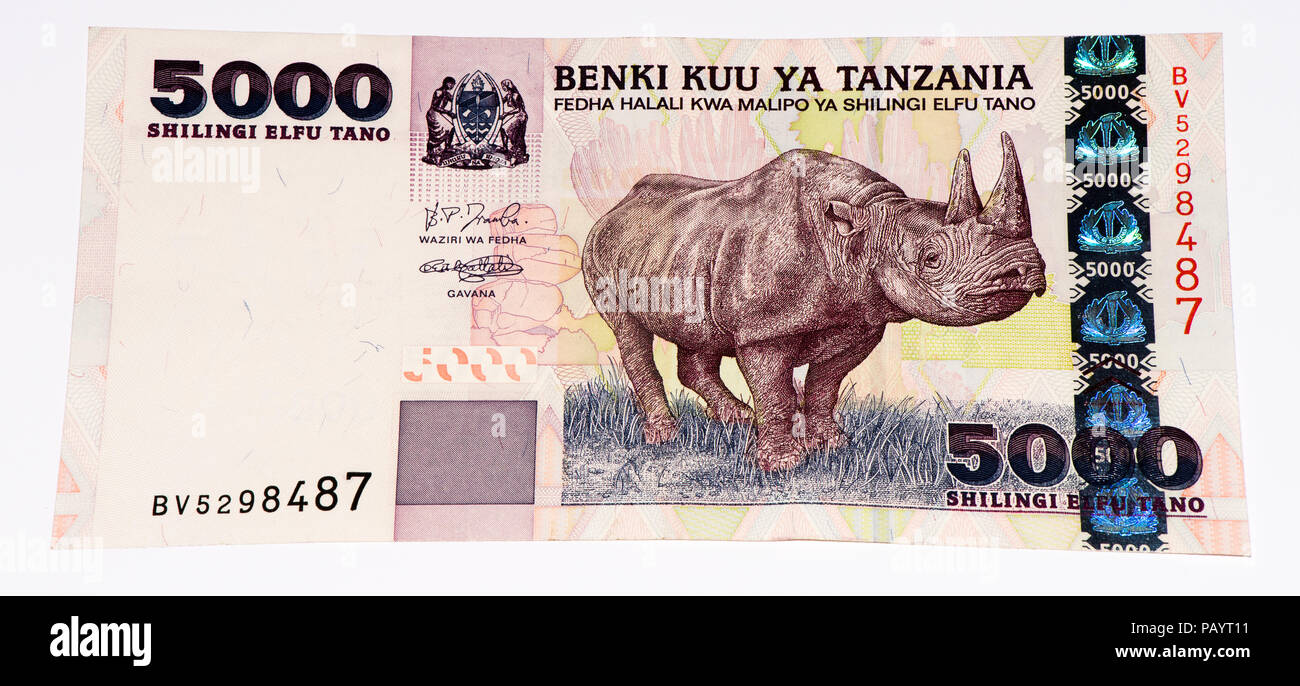 Exploring The Exchange Converting South African Rand To 51 OFF