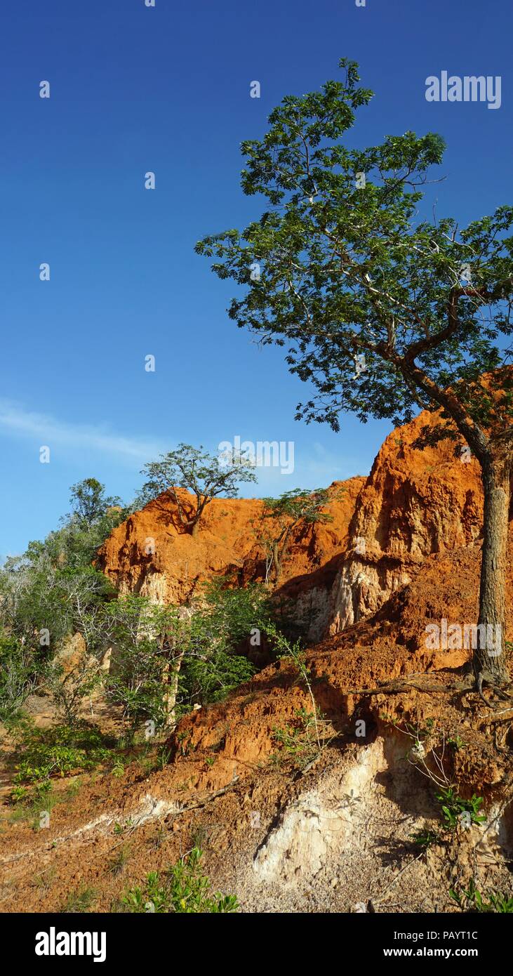 Hells Kitchen Canyon of Marafa in Keyna Stock Photo - Alamy