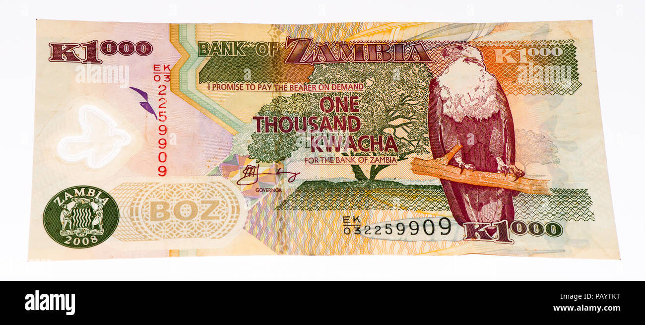 1000 Zambian kwach bank note. Zambian kwacha is the national currency ...