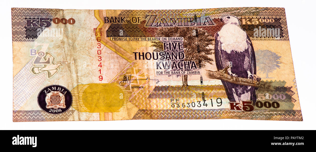 Banknote of zambia Cut Out Stock Images & Pictures - Alamy