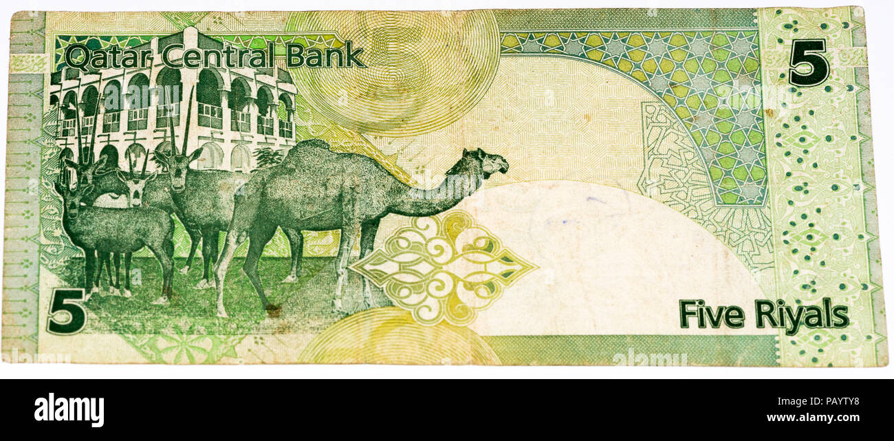 VELIKIE LUKI, RUSSIA - JULY 30, 2015: 5 Qatari riyal bank note. Riyal ...