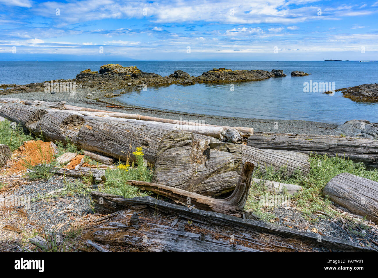 Neck point hi-res stock photography and images - Alamy