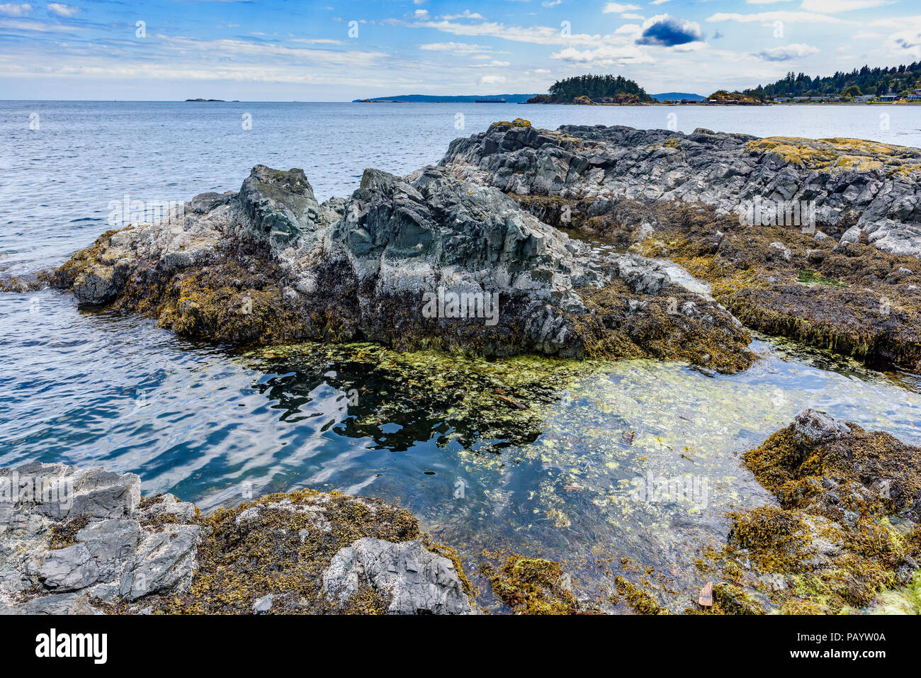 Neck point park hi-res stock photography and images - Alamy