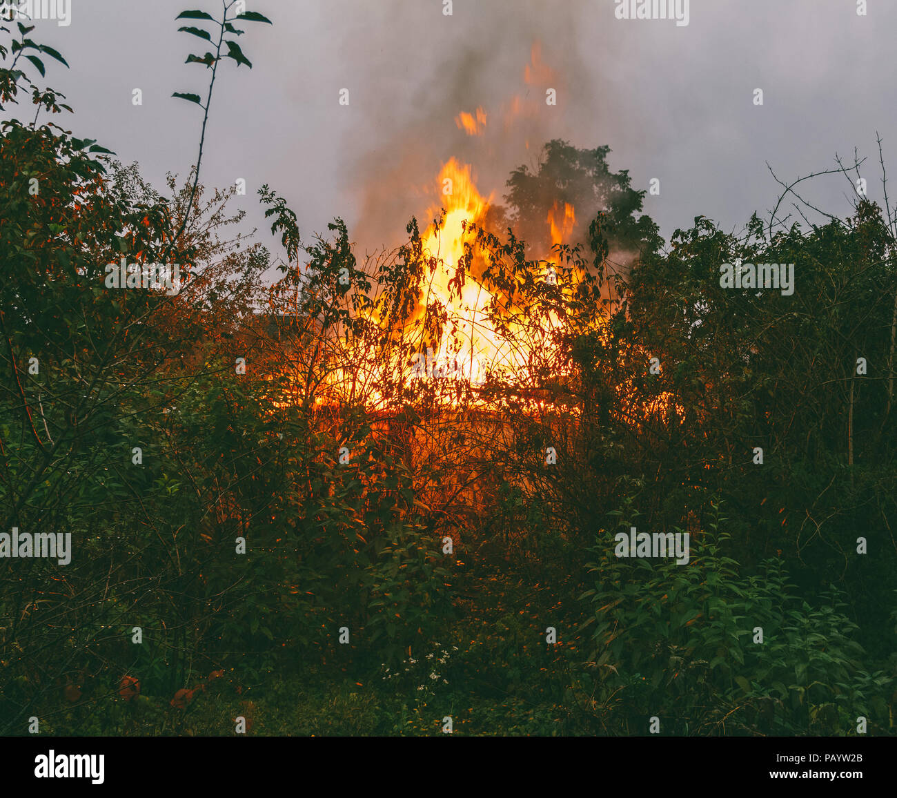 the village house burns early on a rainy summer morning Stock Photo - Alamy