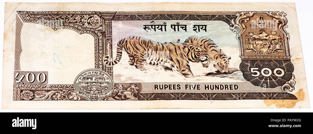 VELIKIE LUKI, RUSSIA - JULY 30, 2015: 500 Nepalese rupee bank note ...