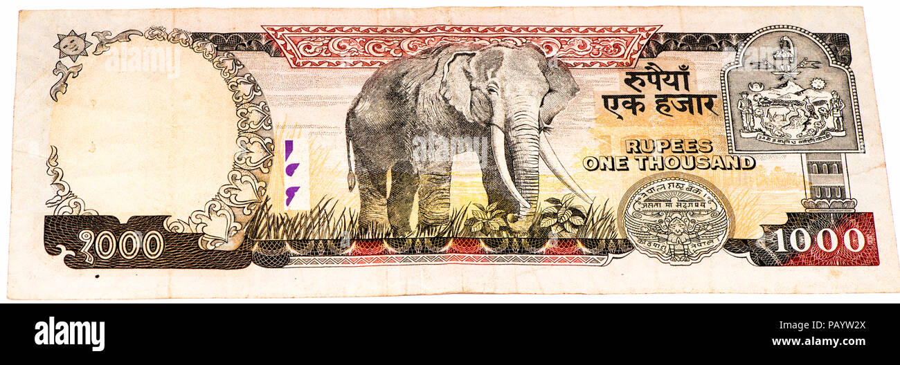 The nepalese rupee cash sign hi-res stock photography and images - Alamy