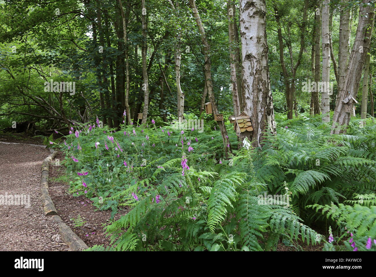 Nature Area trail, Center Parcs Woburn Forest, Fordfield Road, Bedford ...