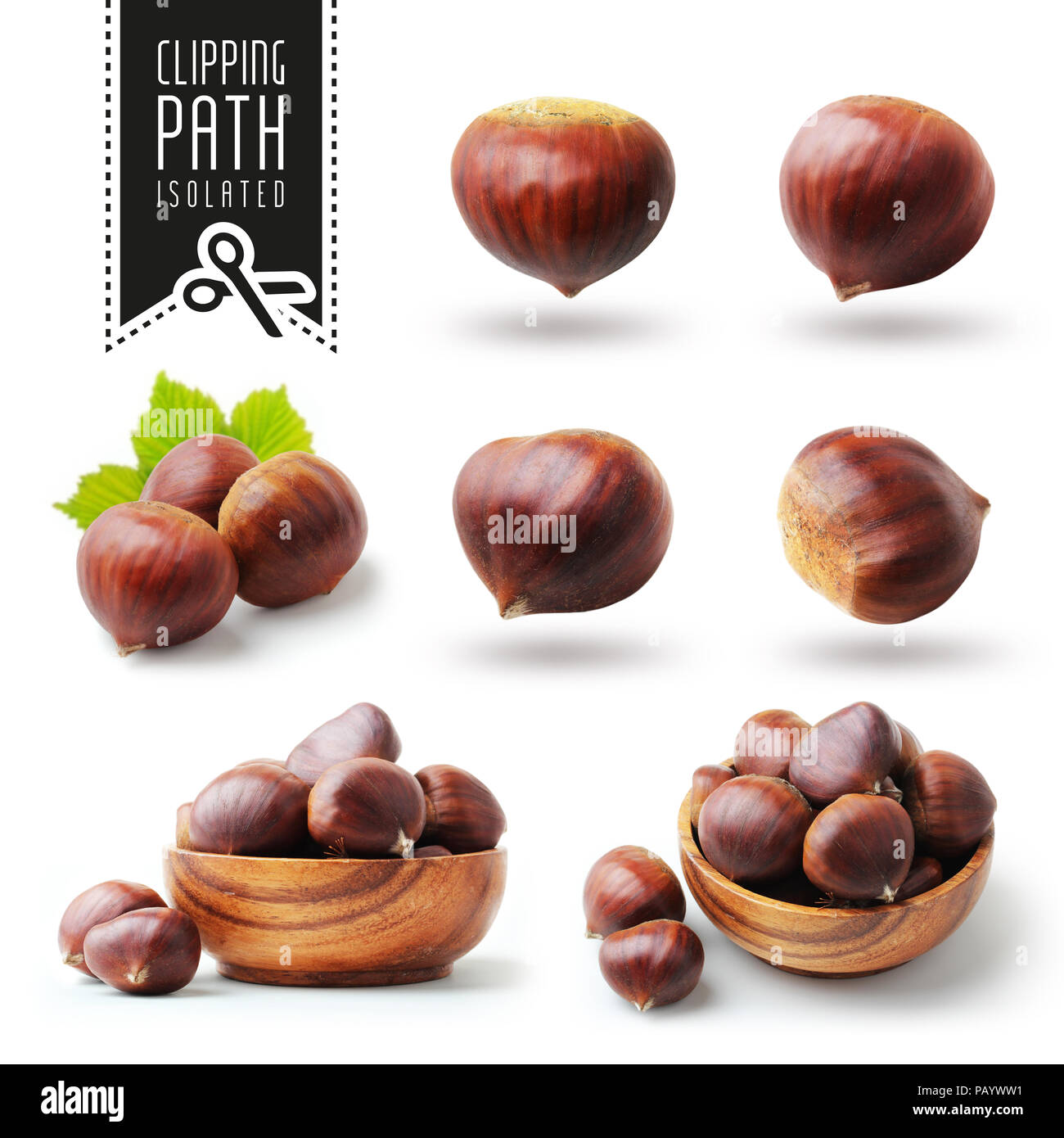 Isolated chestnut set with clipping path Stock Photo - Alamy