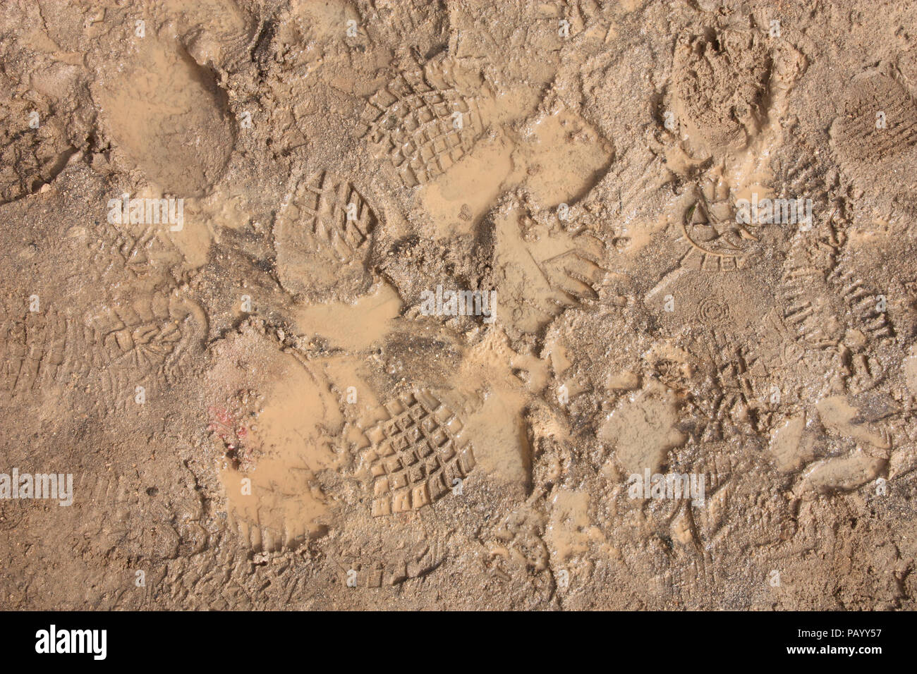 Shoe prints in the mud. Muddy soil shoeprint Stock Photo - Alamy