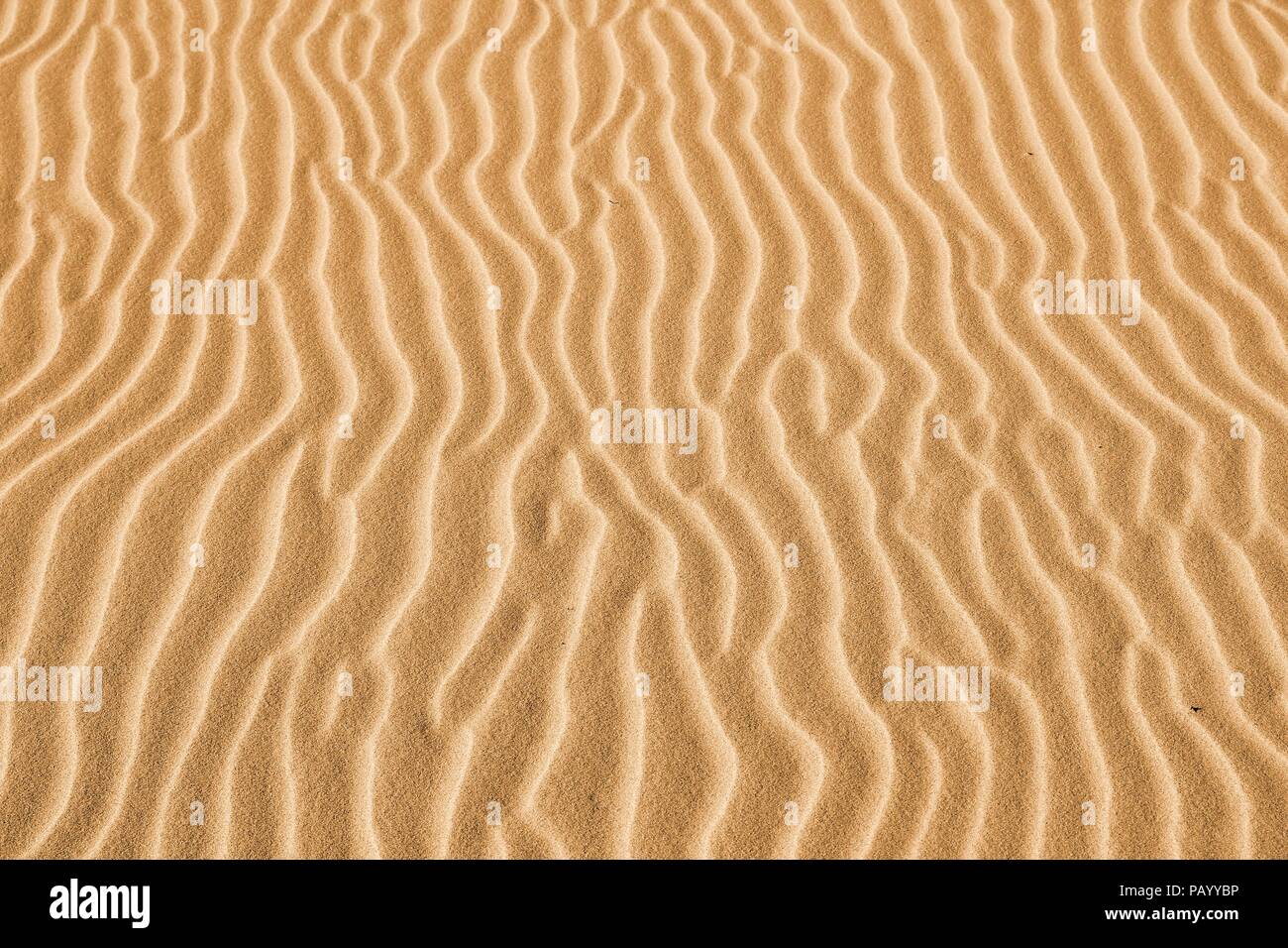 Sand pattern background - yellow beach sand in Poland Stock Photo - Alamy