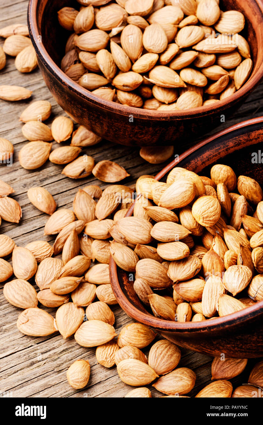 Pip and nut hi-res stock photography and images - Alamy