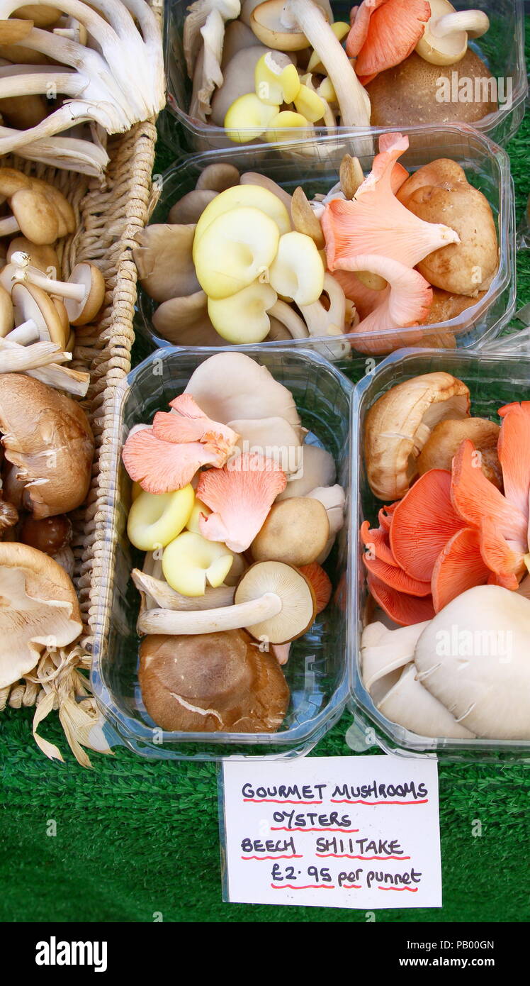 Variety of muchrooms hi-res stock photography and images - Alamy