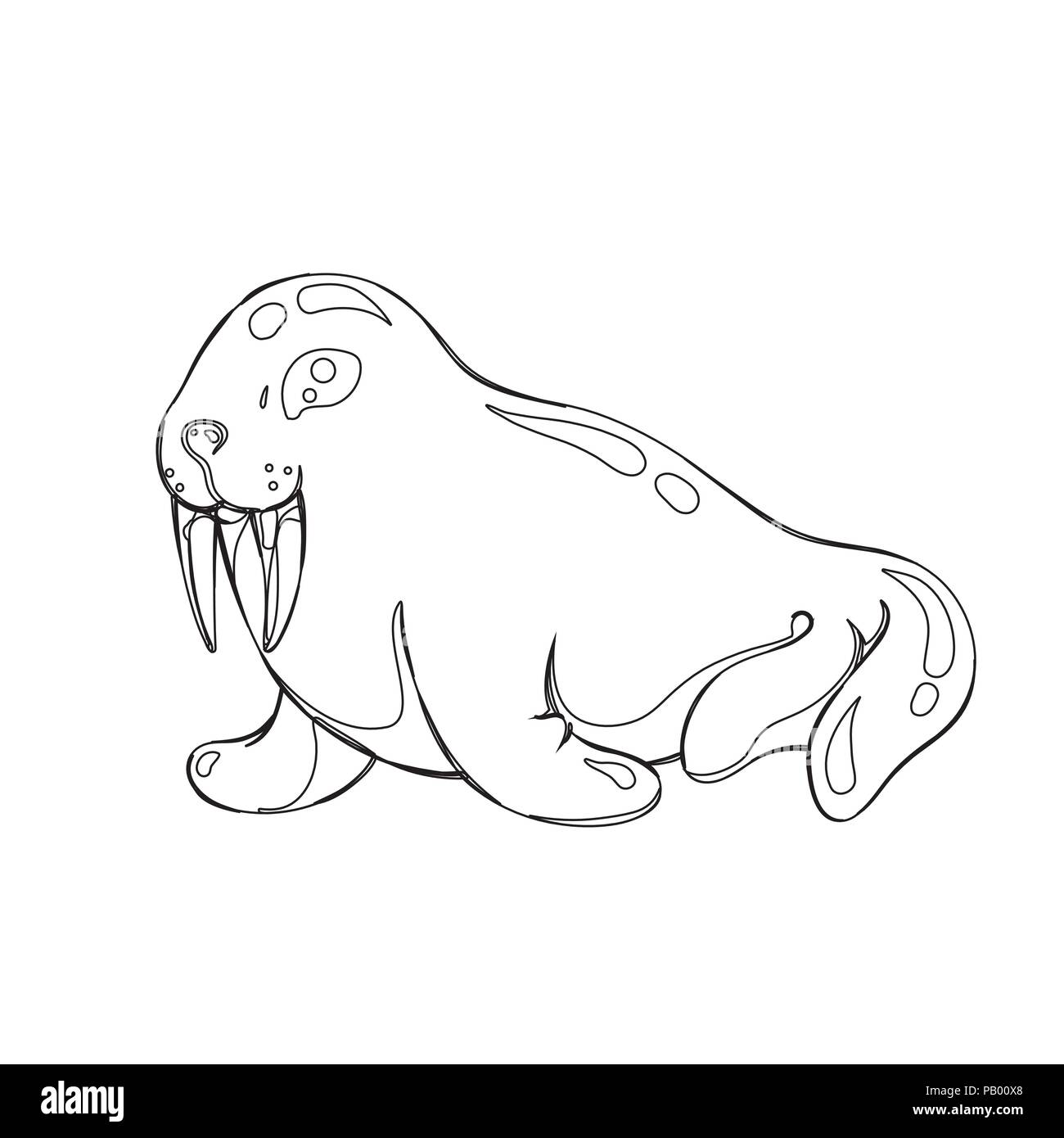 Vector illustration of walrus in continious line graphic style, black ...