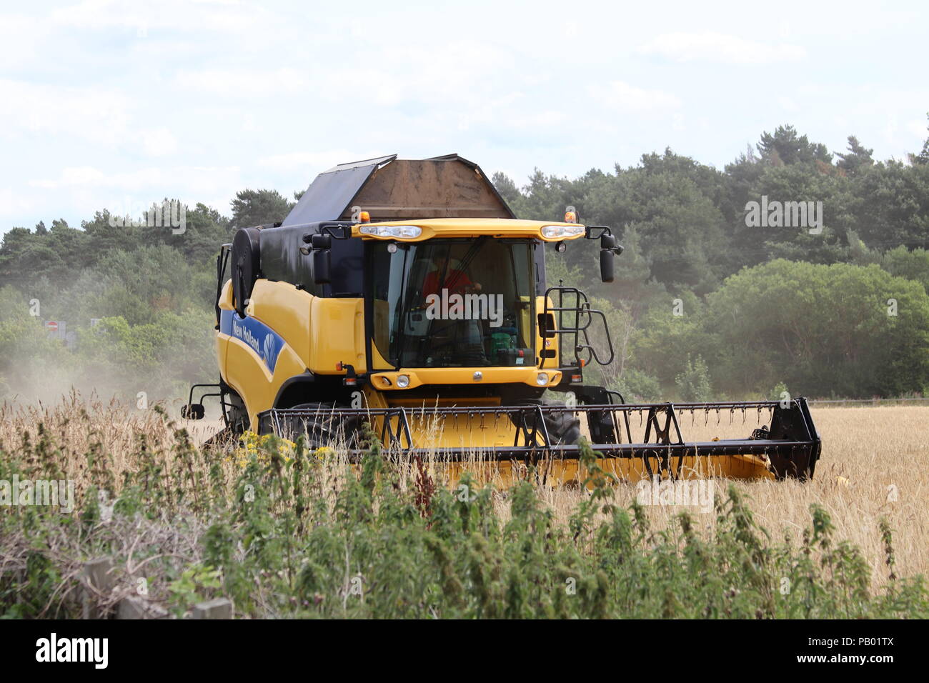 Harvesttime, Wales UK Stock Photo - Alamy