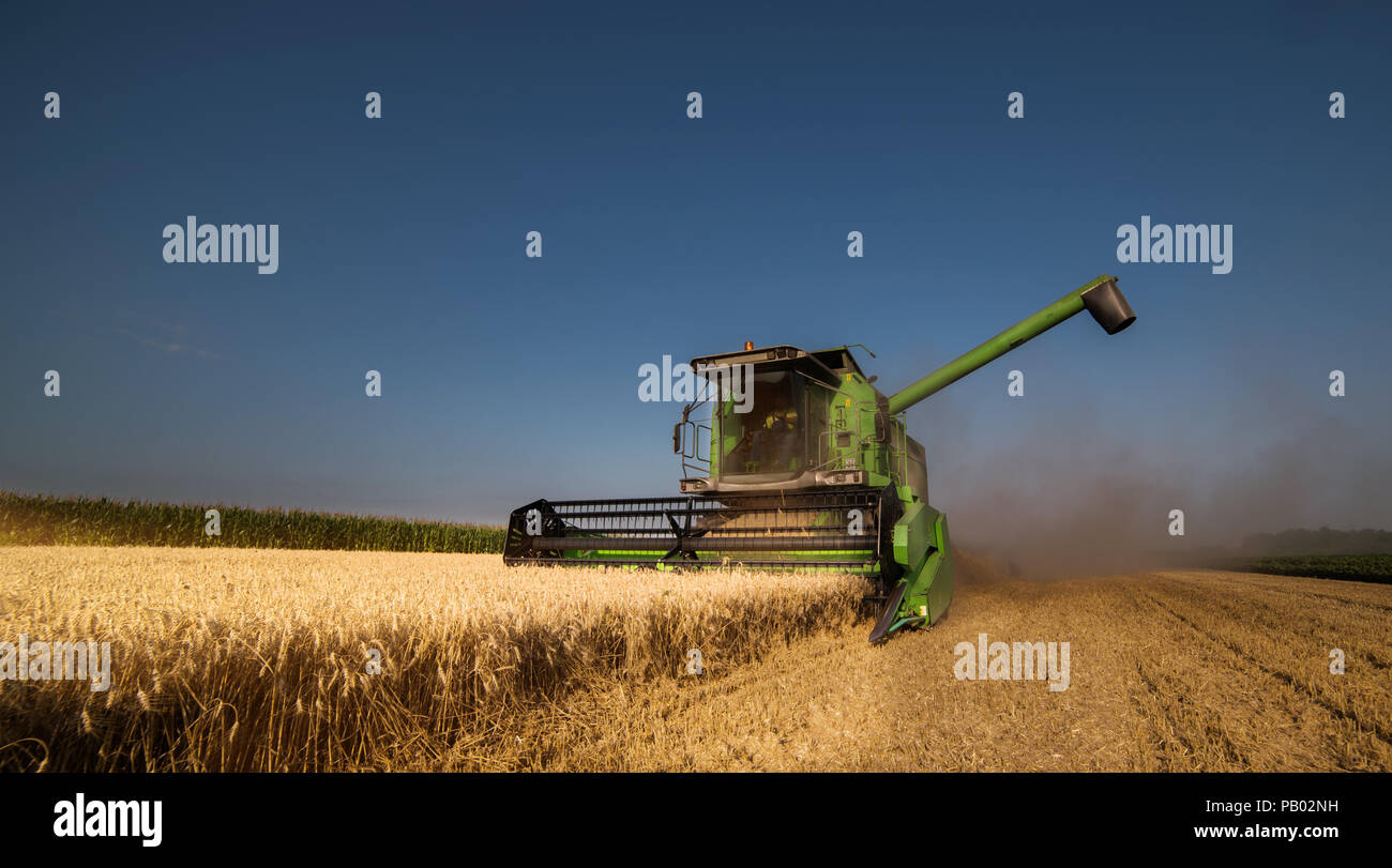 Harvesting of early grains hi-res stock photography and images - Alamy