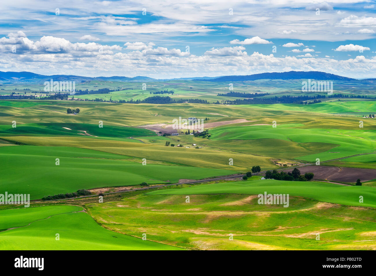 Aerial of palouse region hi-res stock photography and images - Alamy