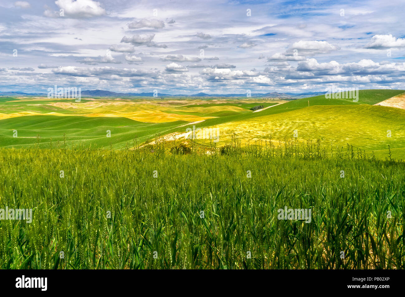Aerial of palouse region hi-res stock photography and images - Alamy