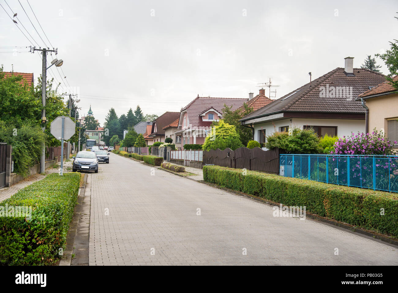 Residential street with houses and trees Stock Photo - Alamy