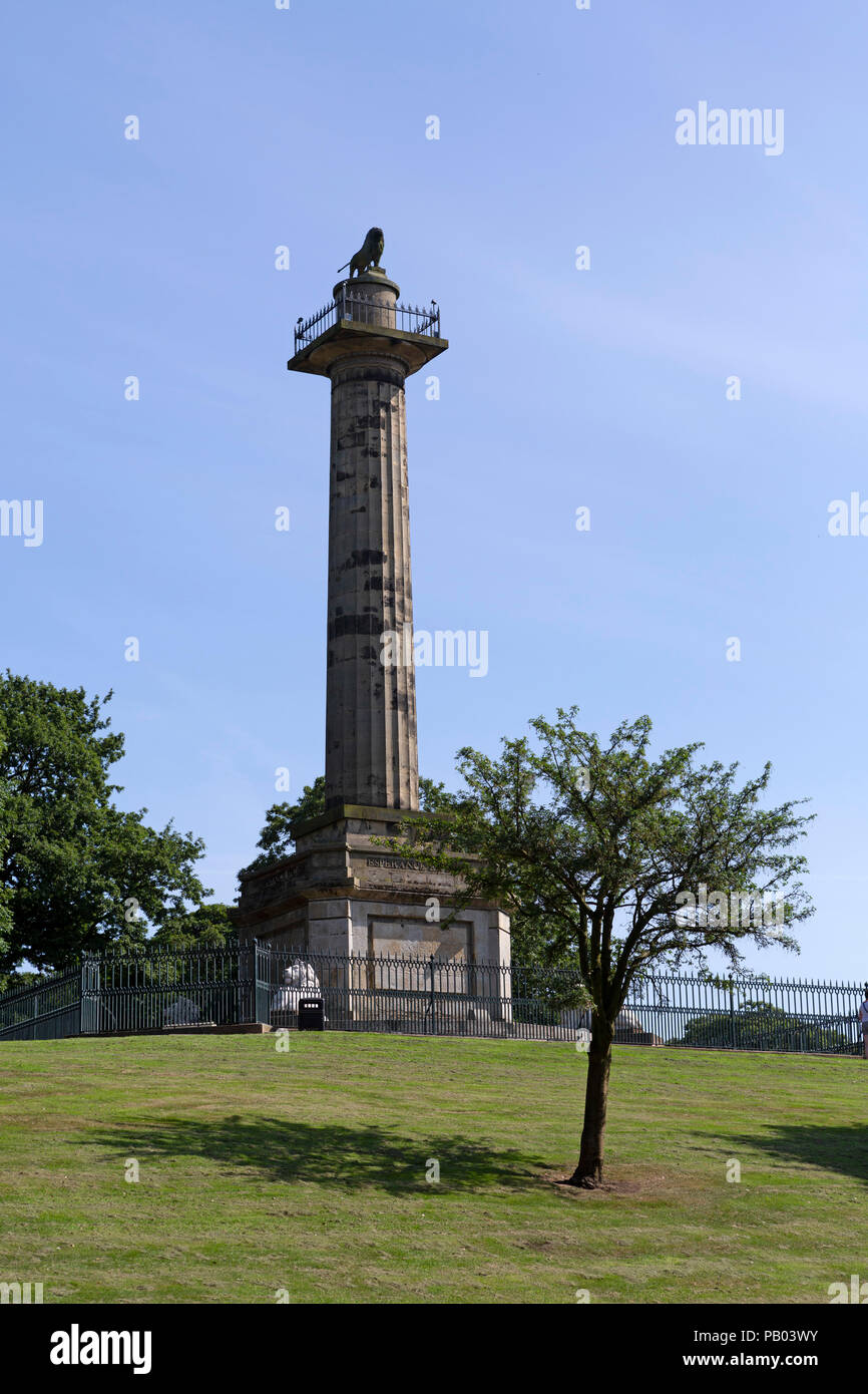 The Tenantry Column at Alnwick in Northumberland, England. The column ...