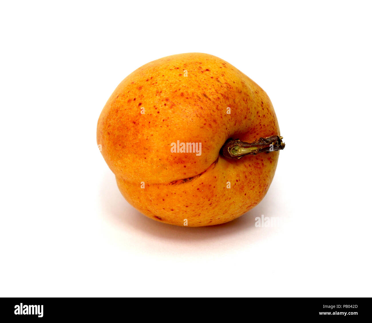 colorful apricot orange/red isolated on white background Stock Photo ...
