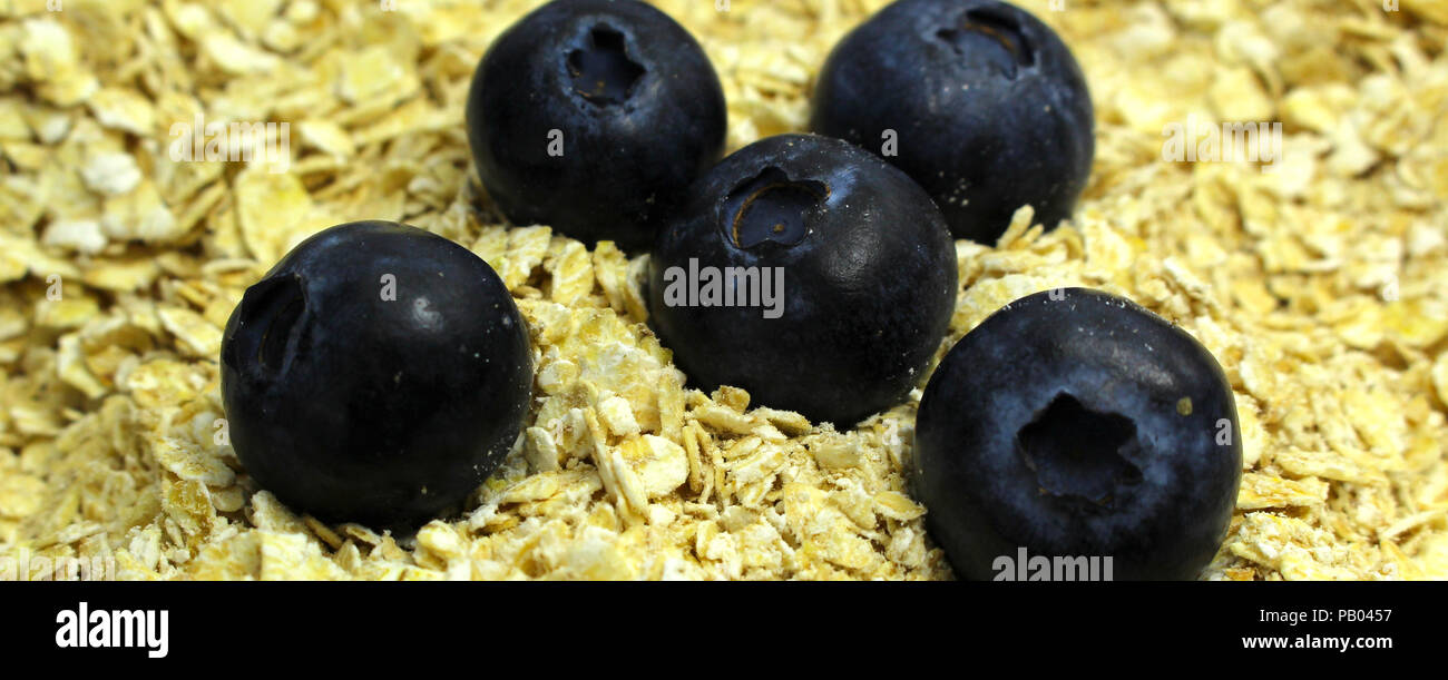 Sweet and tasty blueberries hi-res stock photography and images - Alamy