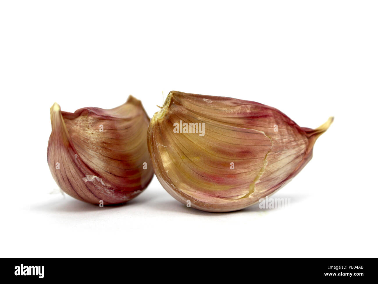 natural garlic from middle east isolated close up on white background ...