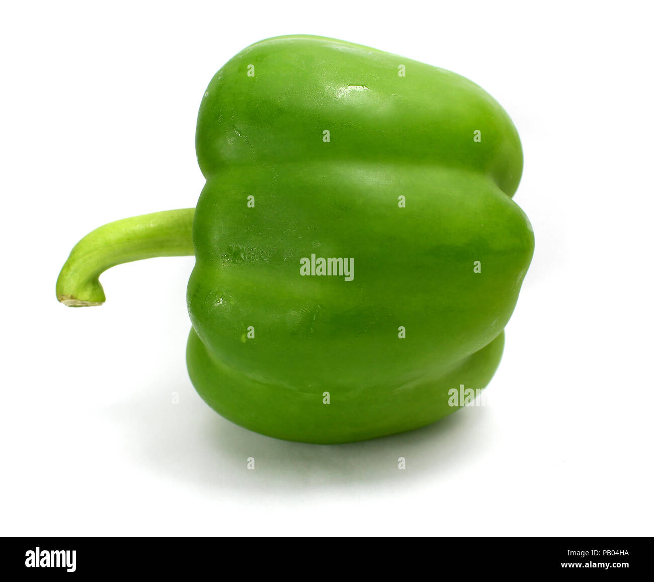 fresh green pepper bell isolated and close up on white background Stock ...