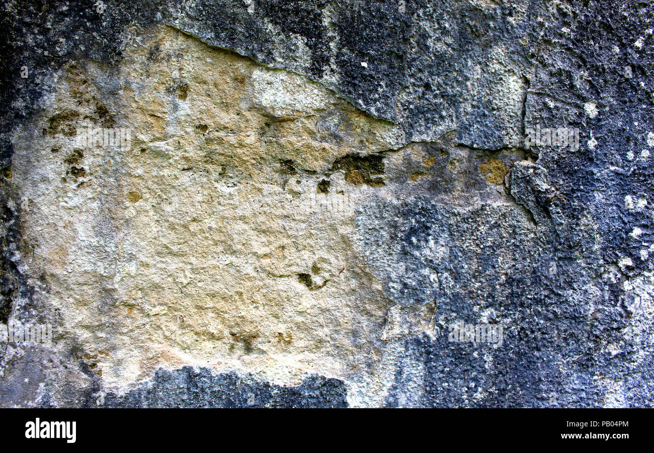 Natural decay hi-res stock photography and images - Alamy