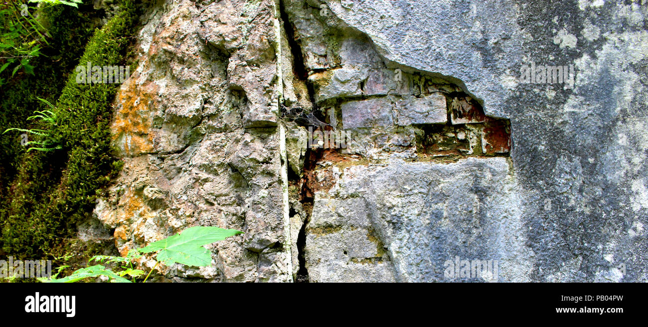 Natural decay hi-res stock photography and images - Alamy