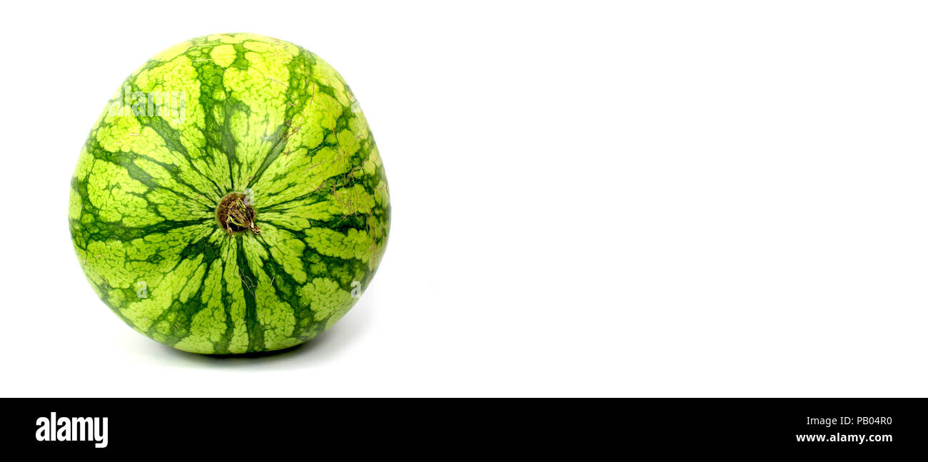 Single watermelon uncut isolated and close up on white background Stock ...