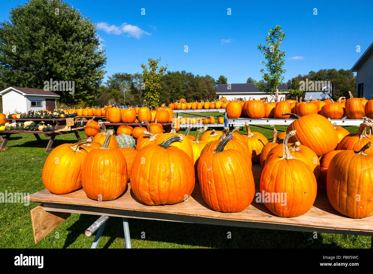 Autumn and pumpkin sales in Eastern Townships, Quebec, Canada. Near ...