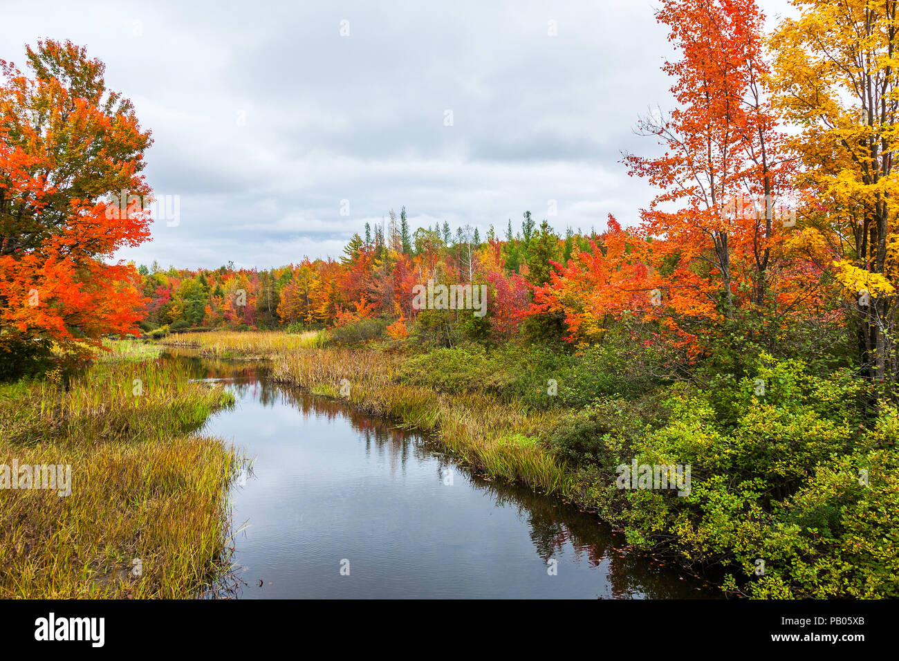 Fall colours in eastern townships hi-res stock photography and images ...