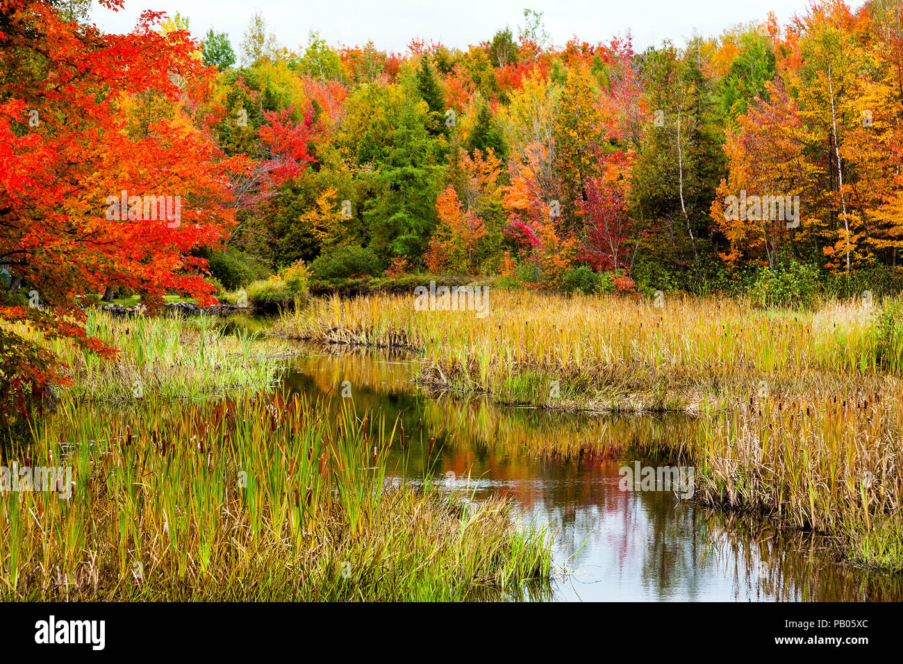 Fall colours in eastern townships hi-res stock photography and images ...