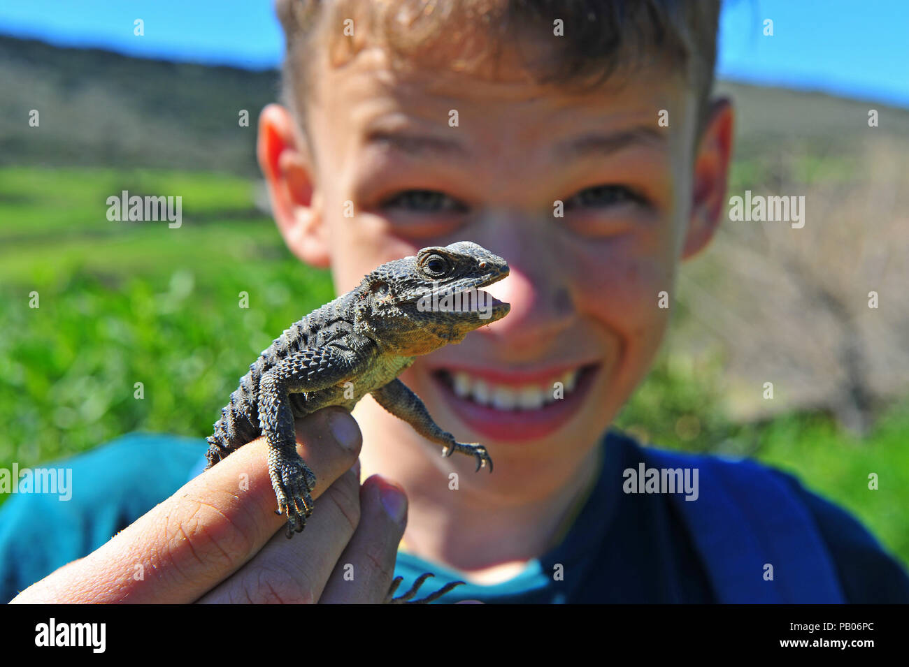 Happy boy with lizard in his hands outdoors Stock Photo - Alamy